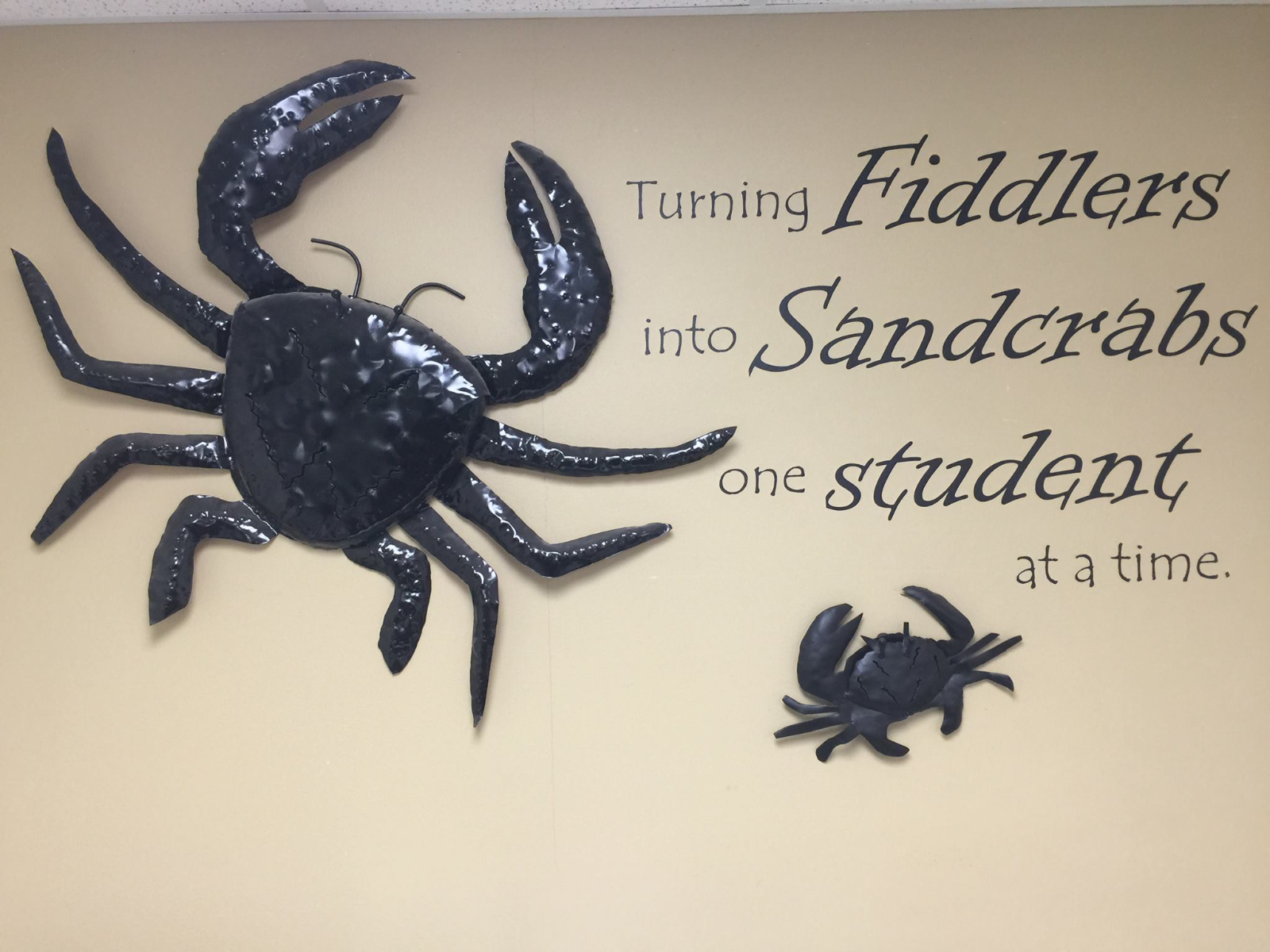 Calhoun - Team Home Calhoun Sandcrabs Sports