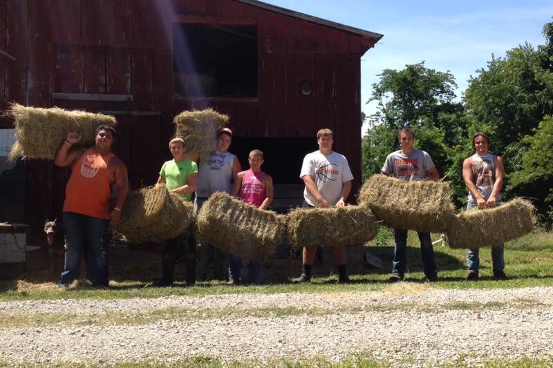 Meadowbrook - Team Home Meadowbrook Colts Sports