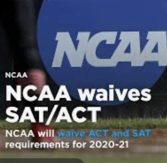 Trimble Tech - Team Home Trimble Tech Bulldogs Sports