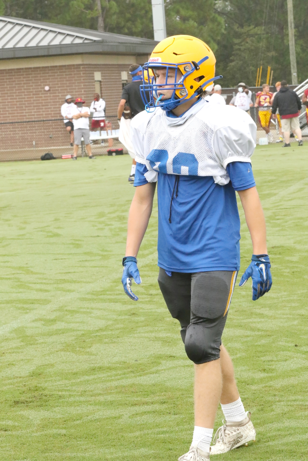 Lexington - Team Home Lexington Wildcats Sports