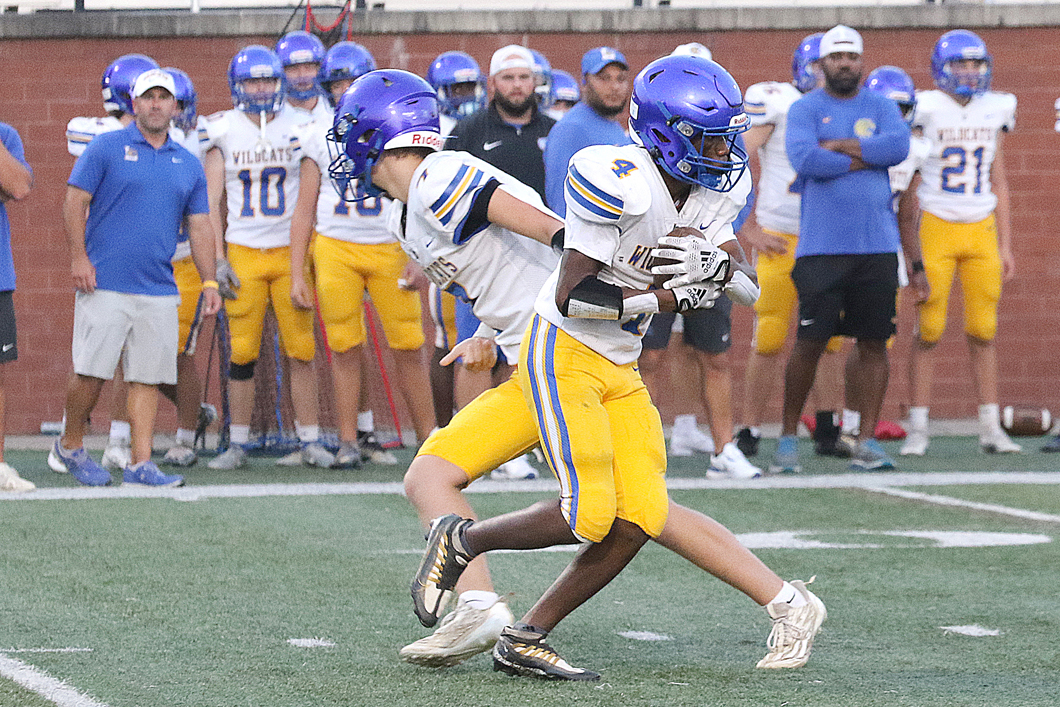 Lexington - Team Home Lexington Wildcats Sports