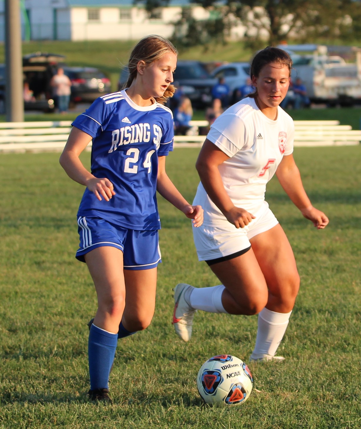 Rising Sun - Team Home Rising Sun Shiners Sports