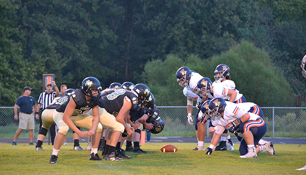 Stone Memorial - Team Home Stone Memorial Panthers Sports