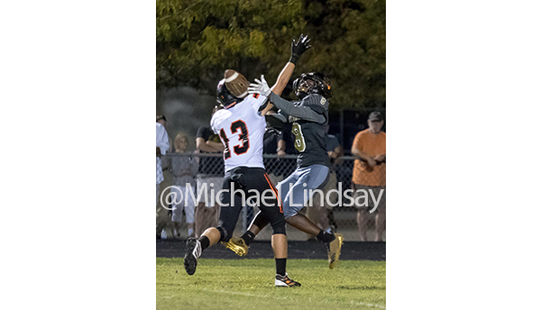 Stone Memorial - Team Home Stone Memorial Panthers Sports