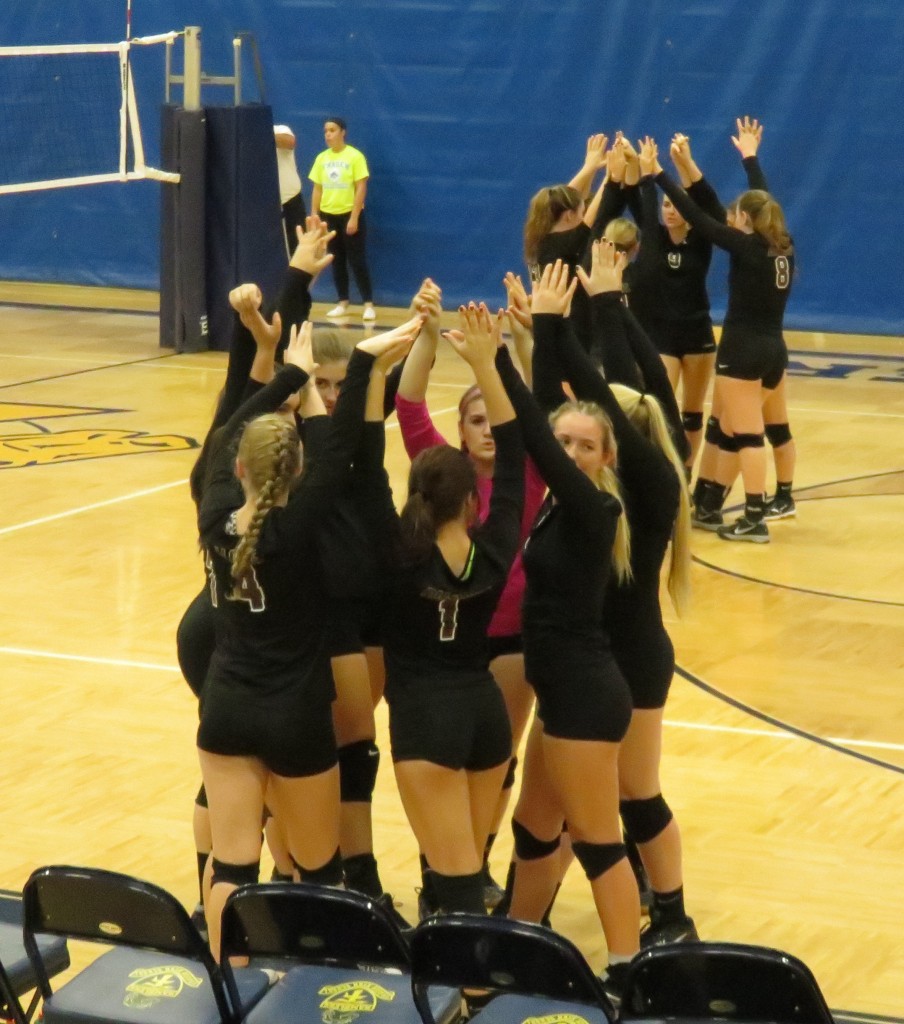 Henry Ford II - Team Home Henry Ford II Falcons Sports