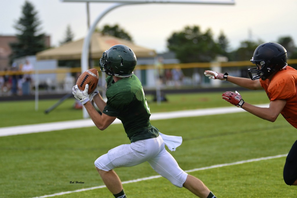 Freeland - Team Home Freeland Falcons Sports