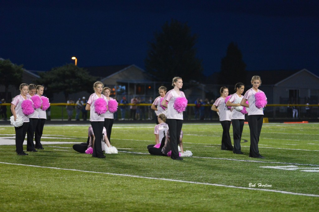 Freeland - Team Home Freeland Falcons Sports