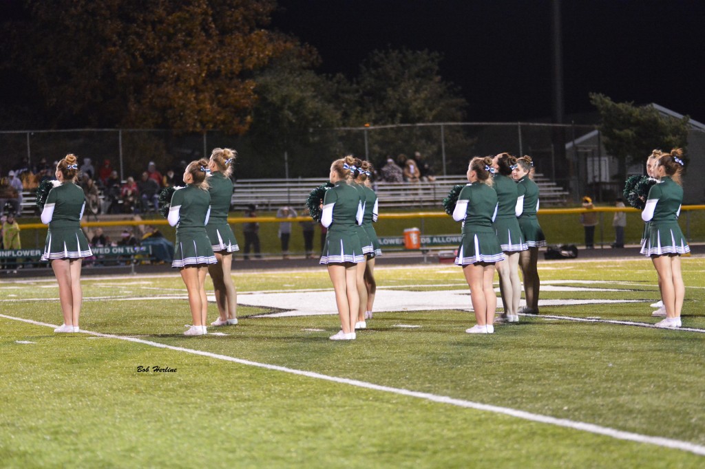 Freeland - Team Home Freeland Falcons Sports