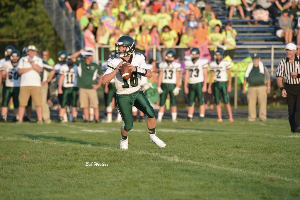 Freeland - Team Home Freeland Falcons Sports