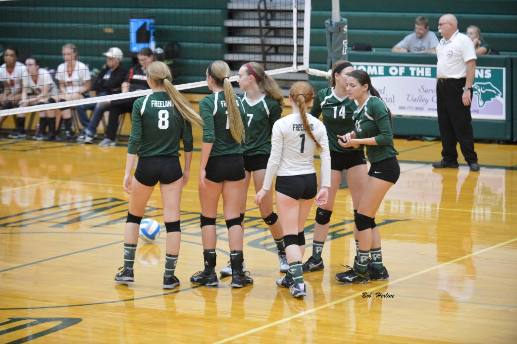 Freeland - Team Home Freeland Falcons Sports