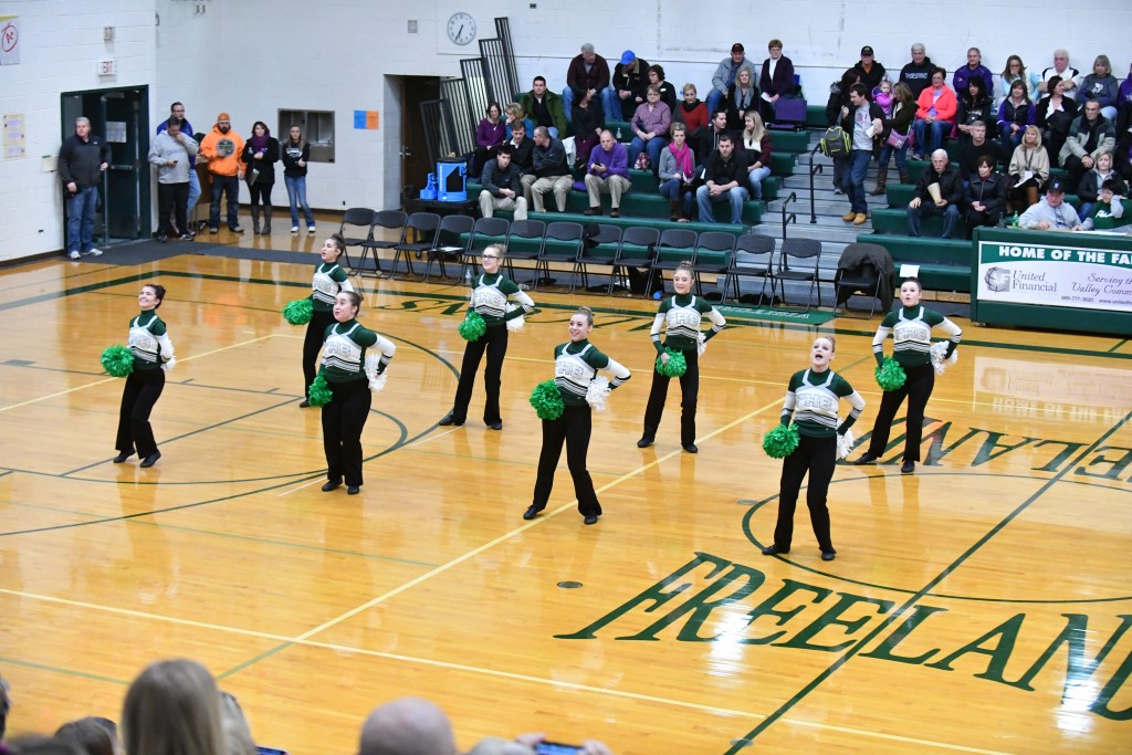 Freeland - Team Home Freeland Falcons Sports