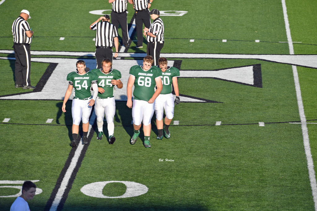 Freeland - Team Home Freeland Falcons Sports