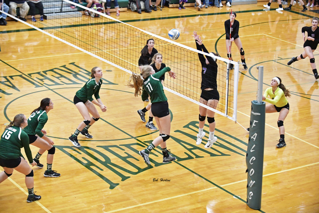 Freeland - Team Home Freeland Falcons Sports