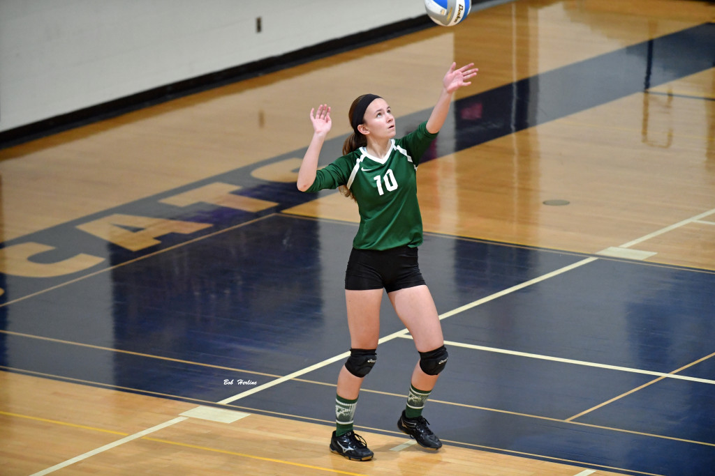 Freeland - Team Home Freeland Falcons Sports