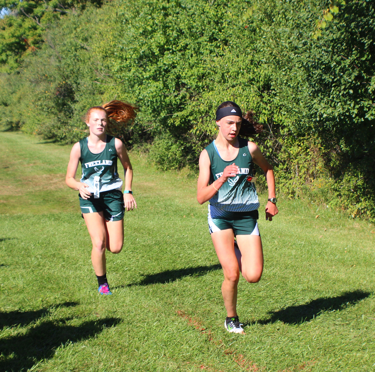 Freeland - Team Home Freeland Falcons Sports