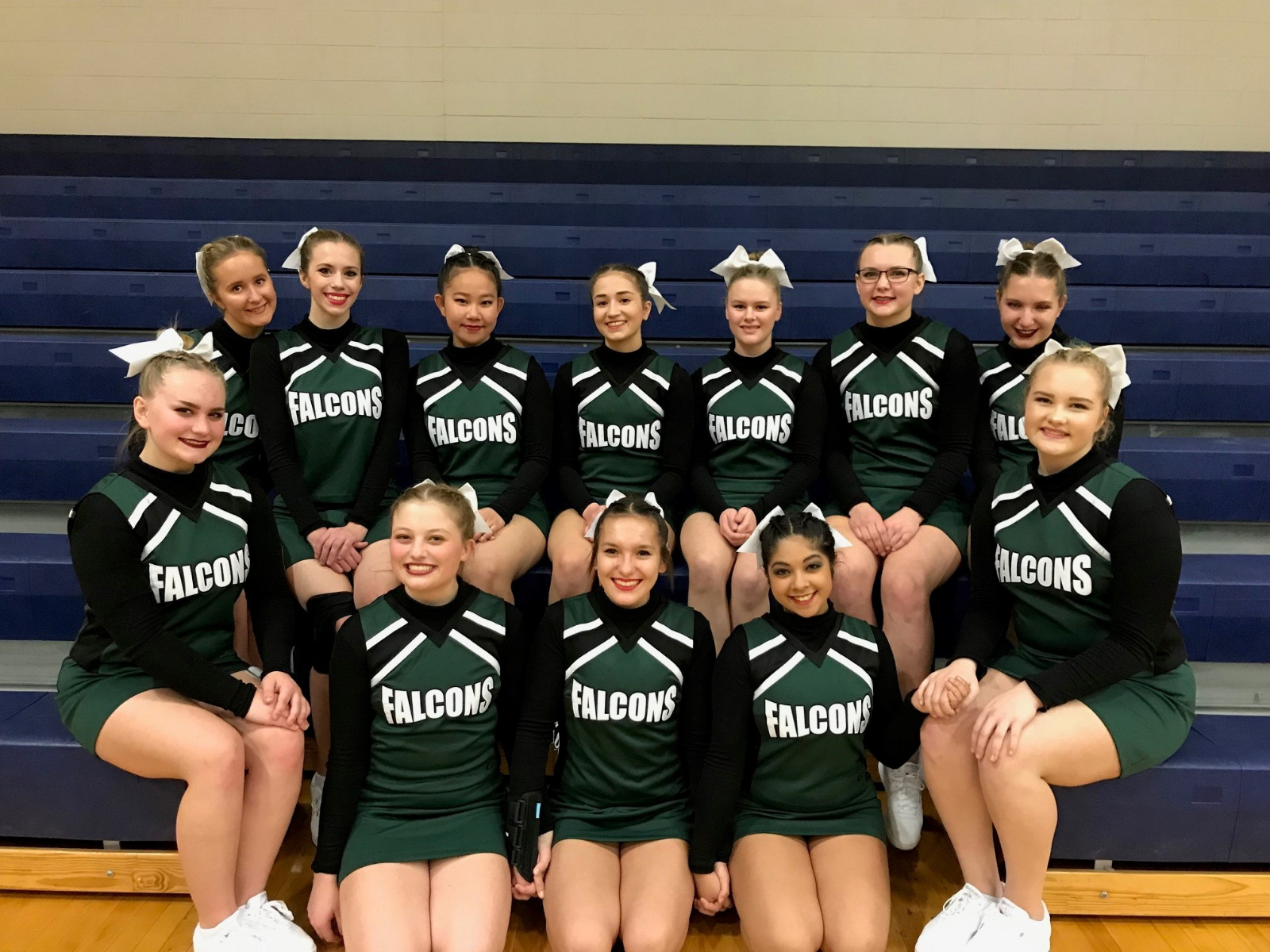 Freeland - Team Home Freeland Falcons Sports