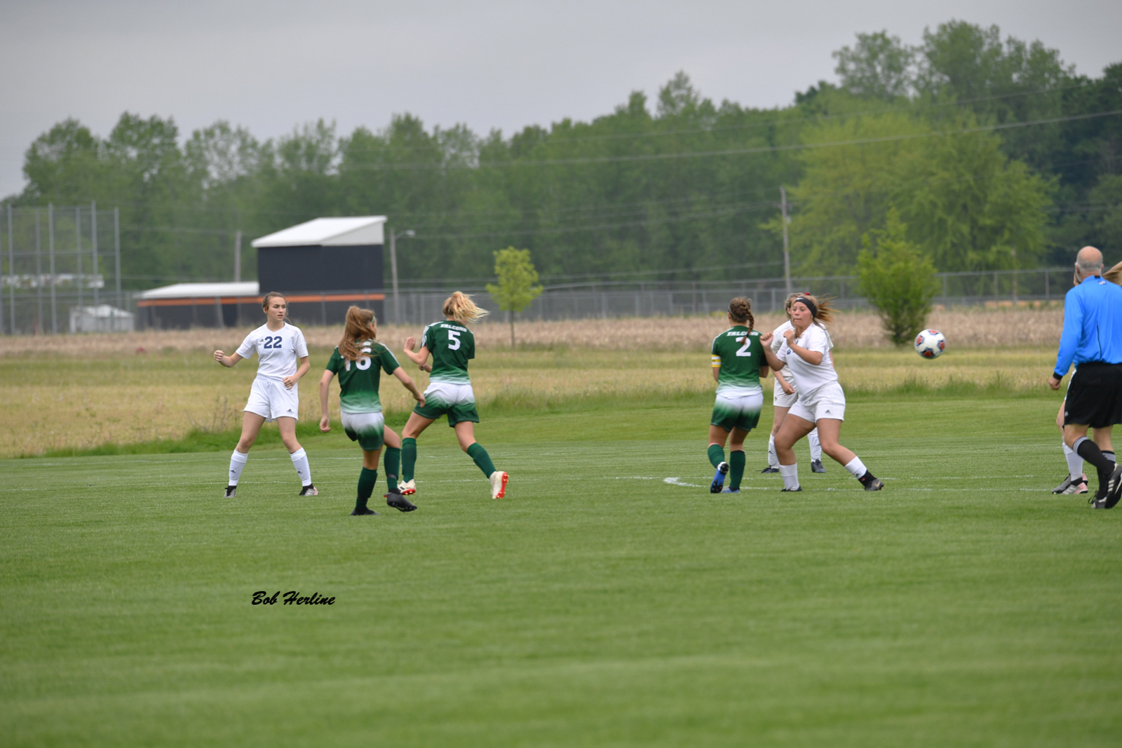 Freeland - Team Home Freeland Falcons Sports