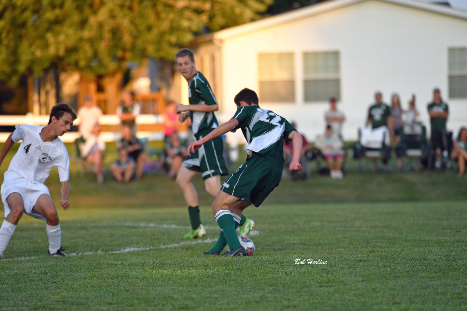 Freeland - Team Home Freeland Falcons Sports