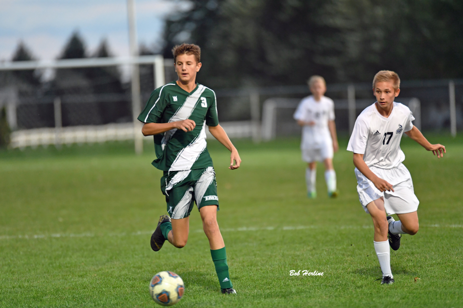 Freeland - Team Home Freeland Falcons Sports