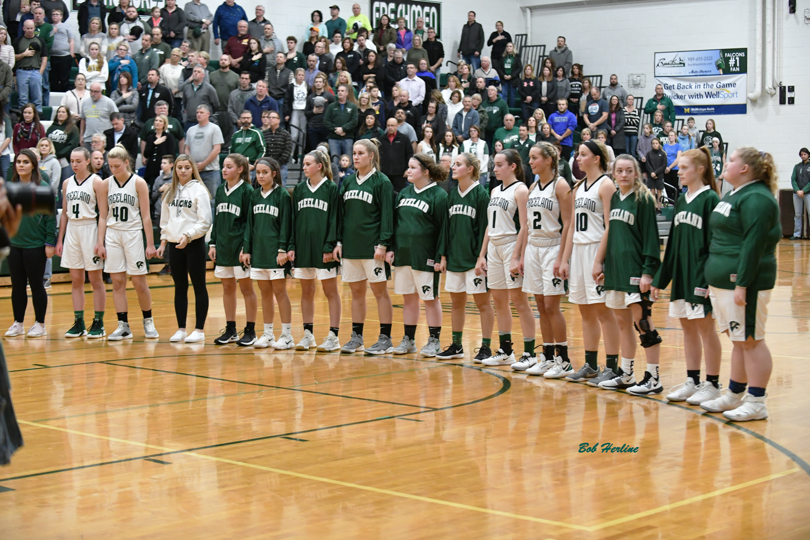 Freeland - Team Home Freeland Falcons Sports
