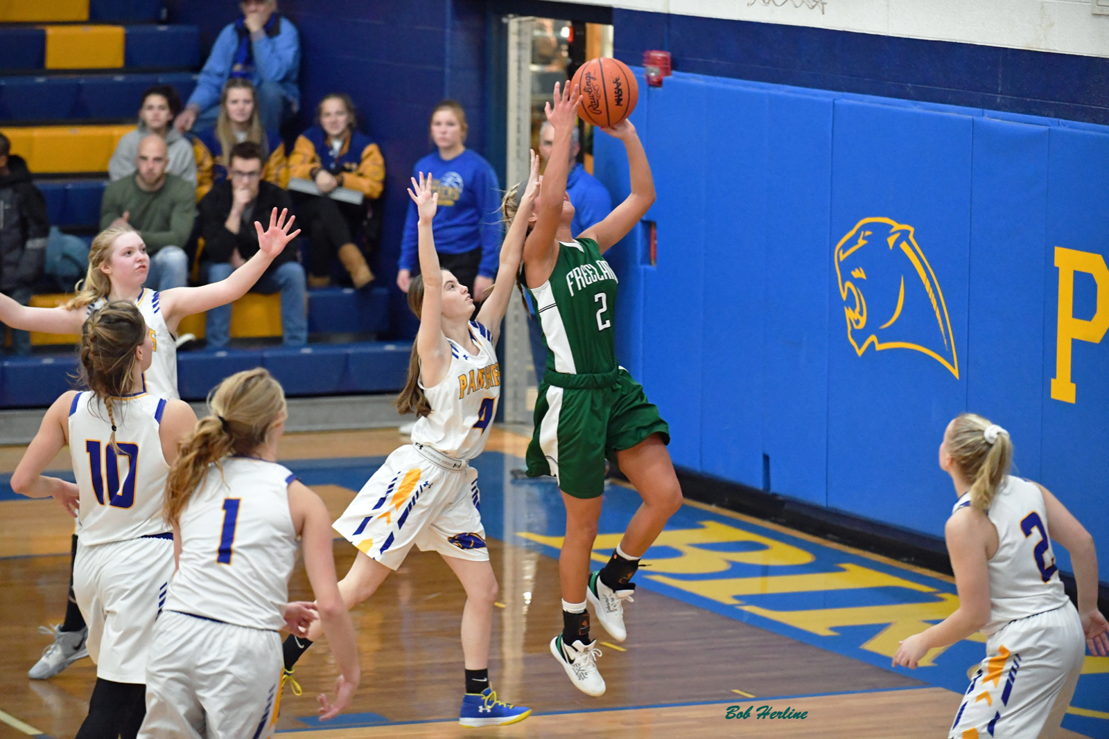 Freeland - Team Home Freeland Falcons Sports