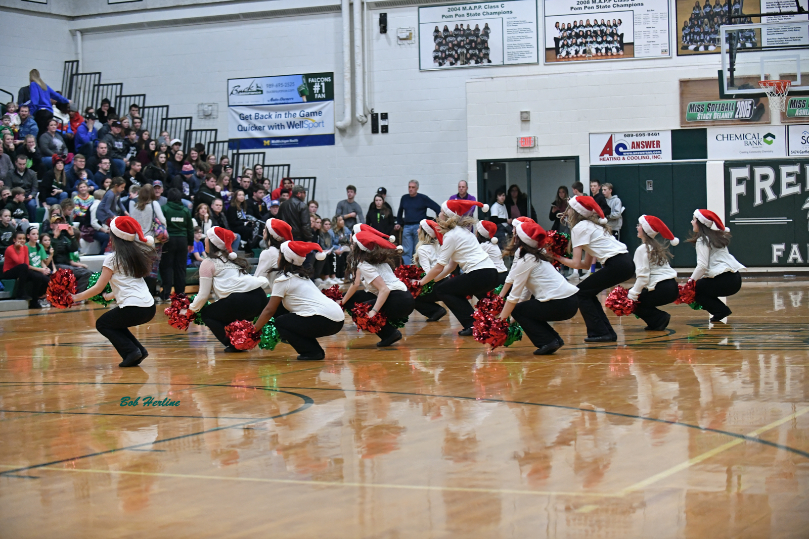 Freeland - Team Home Freeland Falcons Sports