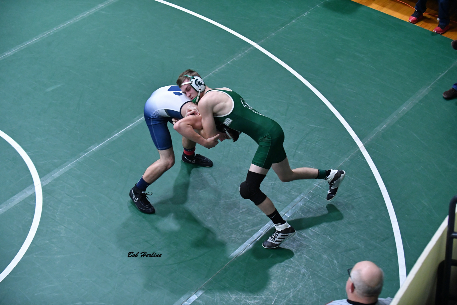 Freeland - Team Home Freeland Falcons Sports