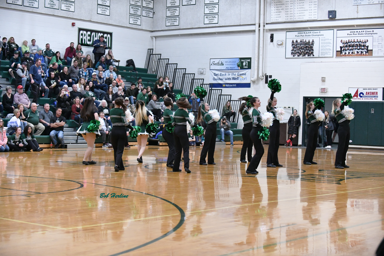 Freeland - Team Home Freeland Falcons Sports