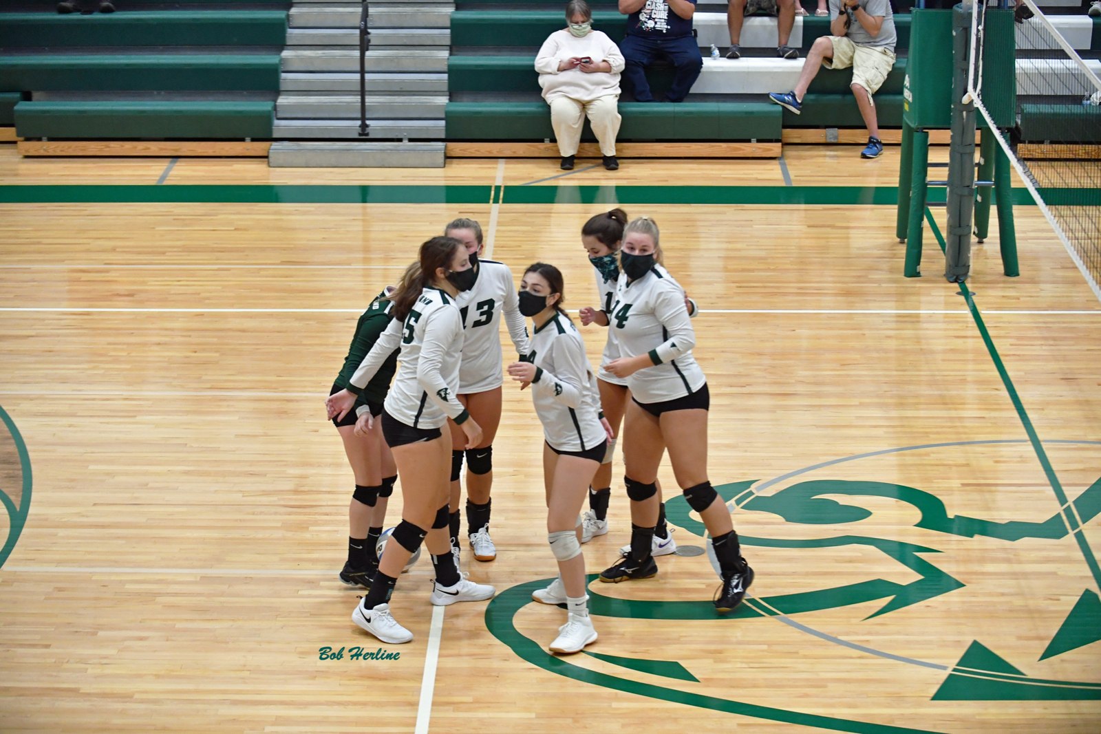 Freeland - Team Home Freeland Falcons Sports