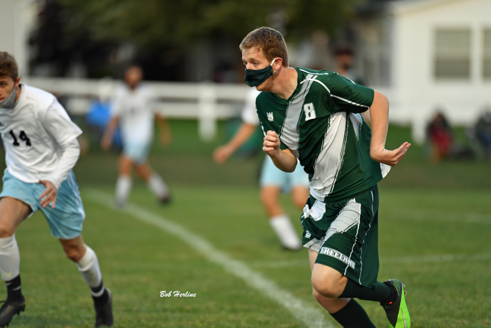 Freeland - Team Home Freeland Falcons Sports