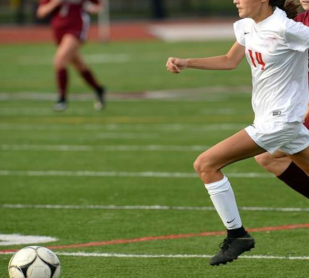 Martin Luther King - Team Home Martin Luther King Wolves Sports