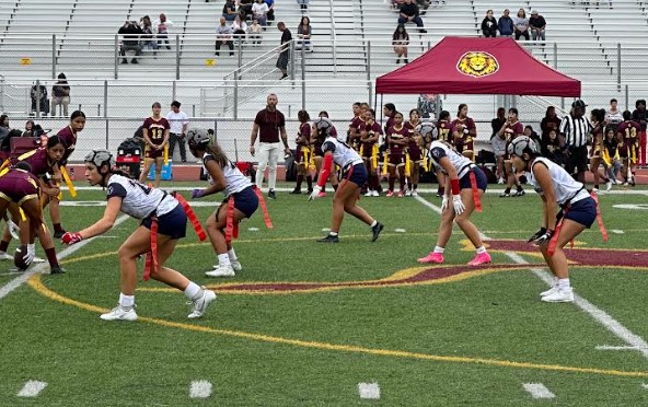 Martin Luther King - Team Home Martin Luther King Wolves Sports