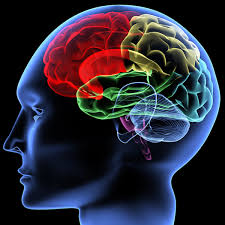 Keystone Oaks - Team Home Keystone Oaks Golden Eagles Sports